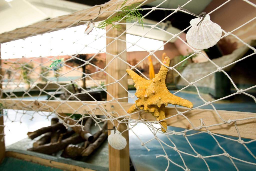 Home | Tibolin Spielparks – der Indoorpark in Offfenbach